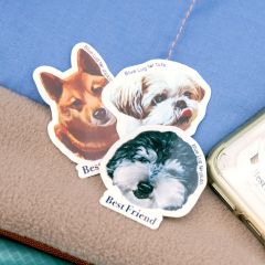 BLUE LUG - BRANDS / ブランド - BLUE LUG ONLINE STORE